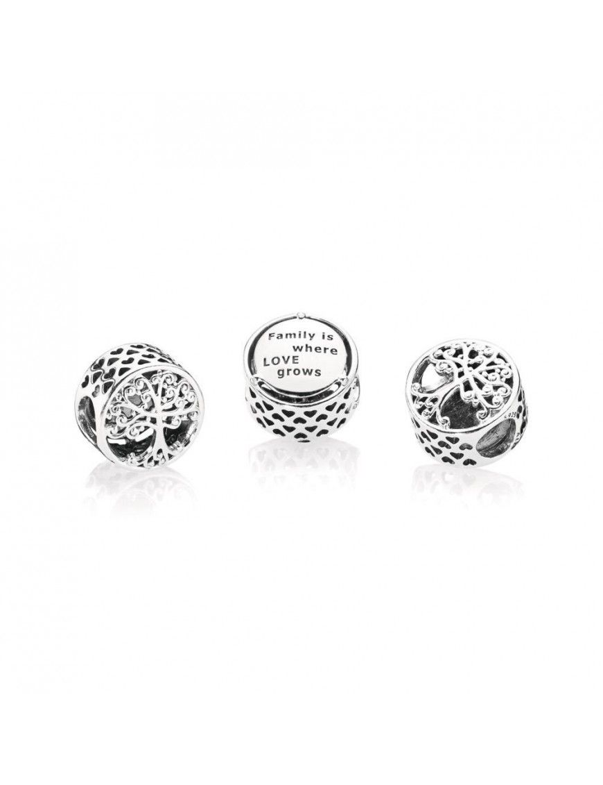 Charm Pandora Plata Raíces familiares 797590.