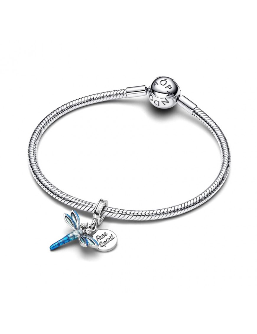 Charm Colgante Doble Libélula 793745C01